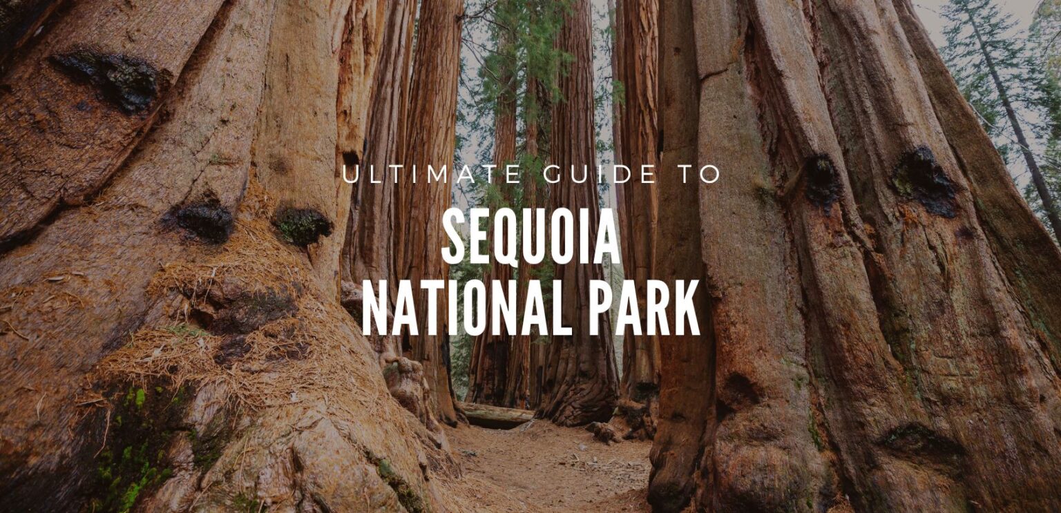 Ultimate Guide to Sequoia National Park: Plan Your Adventure