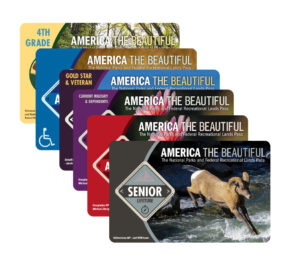 The Ultimate Guide to the America the Beautiful Pass
